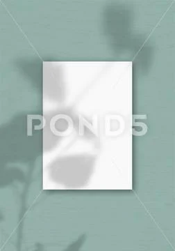 The vertical sheet of white textured A4 paper on the green wall ...