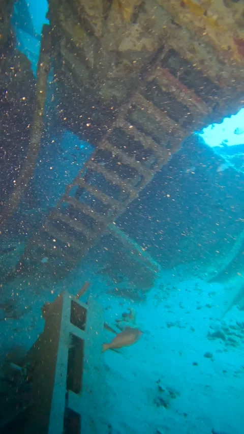 Shipwreck Under Water Stock Footage ~ Royalty Free Stock Videos | Pond5