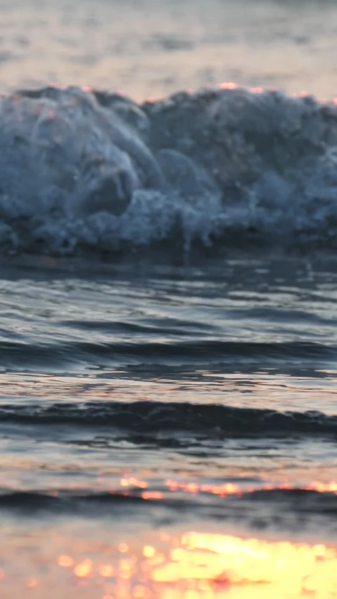 Short Video P Stock Videos – Royalty-Free HD & 4K Videos