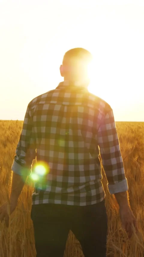 Short S Video Stock Videos – Royalty-Free HD & 4K Videos | Pond5