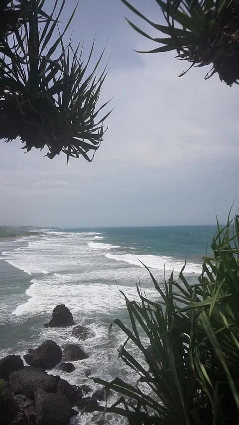 vertical stretch of beach with blue sea ... | Stock Video | Pond5