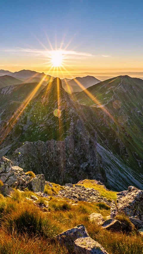 Vertical Nature Stock Video Footage | Royalty Free Vertical Nature ...