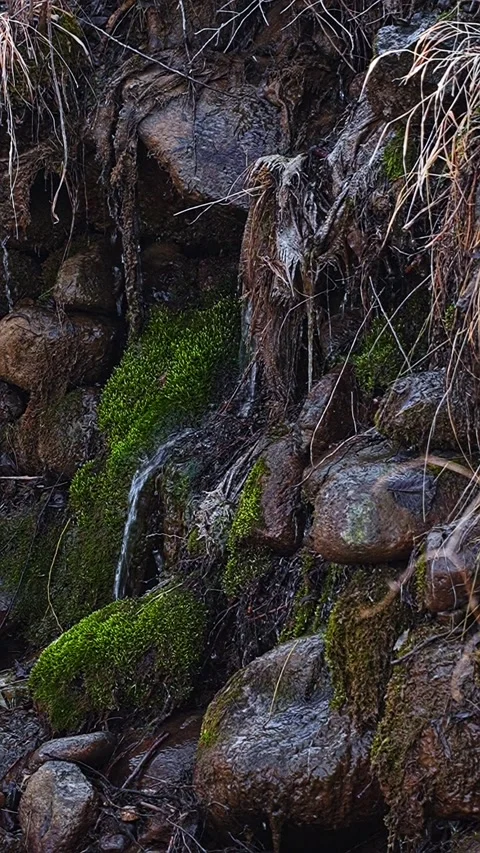 Video Ro Stock Videos – Royalty-Free HD & 4K Videos