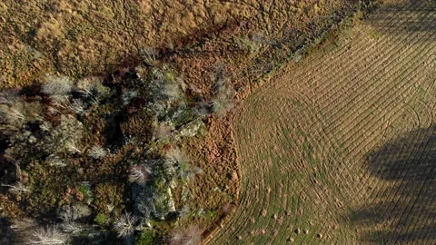 Vertical Top Down View of Drone Descendi... | Stock Video | Pond5