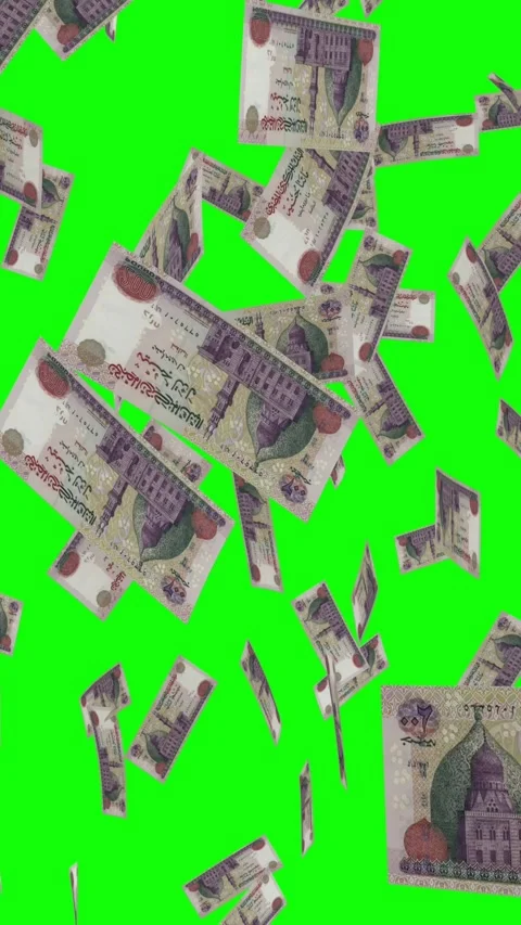 Poun Video Stock Videos – Royalty-Free HD & 4K Videos | Pond5