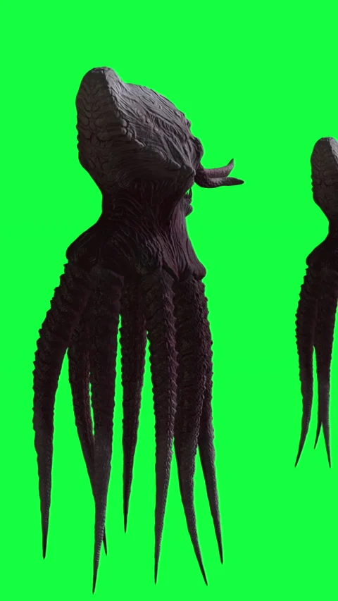 Octopus Green Screen Stock Footage ~ Royalty Free Stock Videos | Pond5