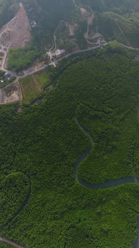 High Dive Stock Footage ~ Royalty Free Stock Videos | Pond5