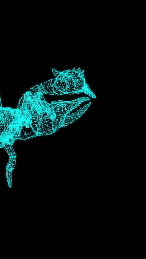 vertical video 4k wireframe animation -F... | Stock Video | Pond5