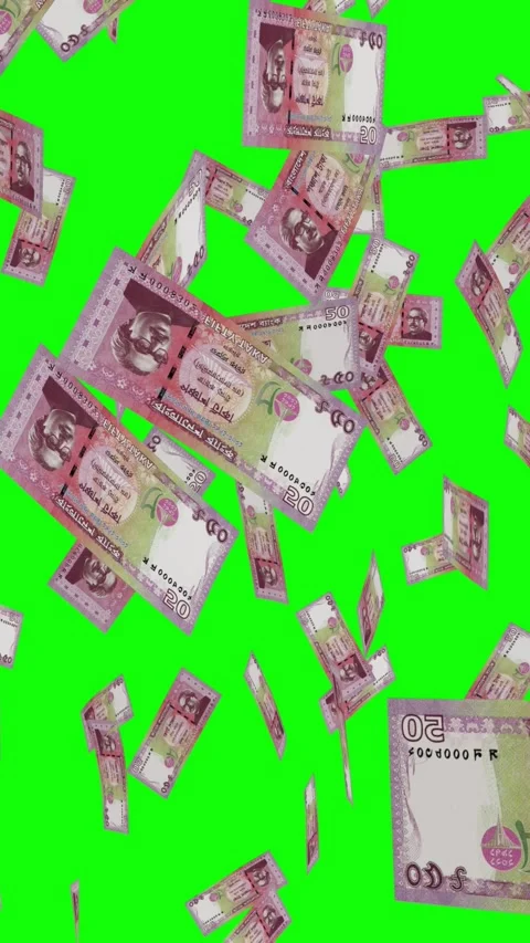 Ptaka Video Stock Footage ~ Royalty Free Stock Videos | Pond5