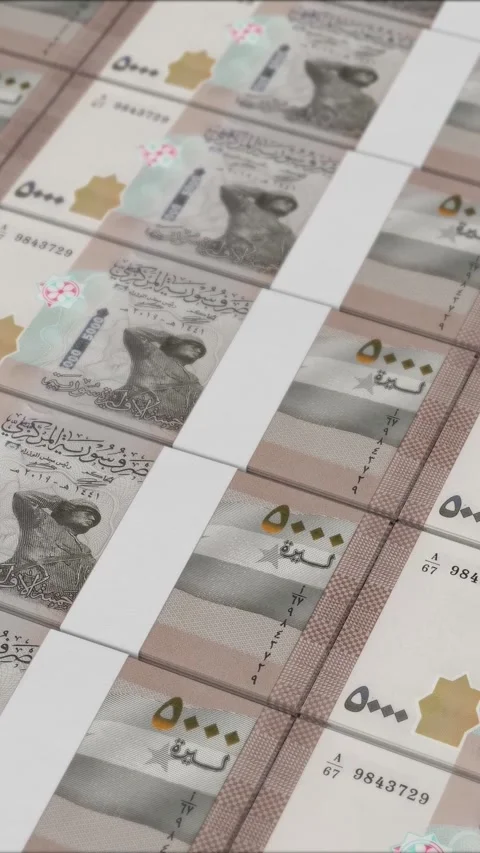 Poun Video Stock Videos – Royalty-Free HD & 4K Videos | Pond5