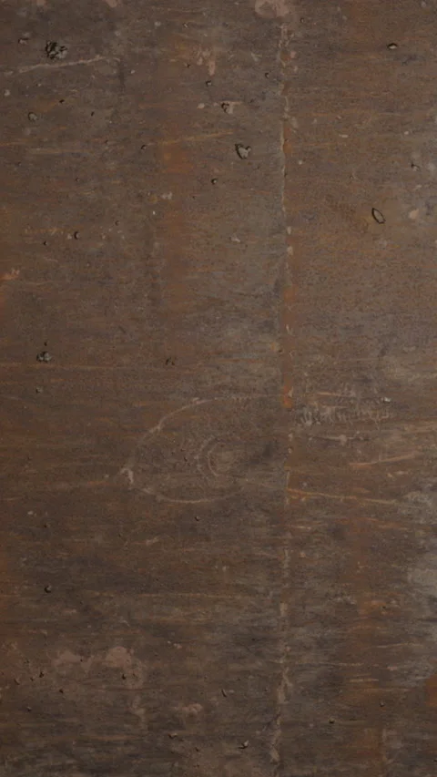 Key Hole Videos Stock Videos – Royalty-Free HD & 4K Videos | Pond5