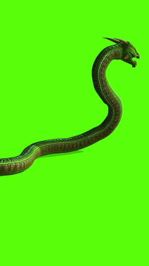 Snake Green Screen Footage Stock Videos – Royalty-Free HD & 4K Videos ...