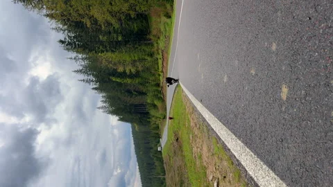 Black Strolling Video Stock Videos – Royalty-Free HD & 4K Videos