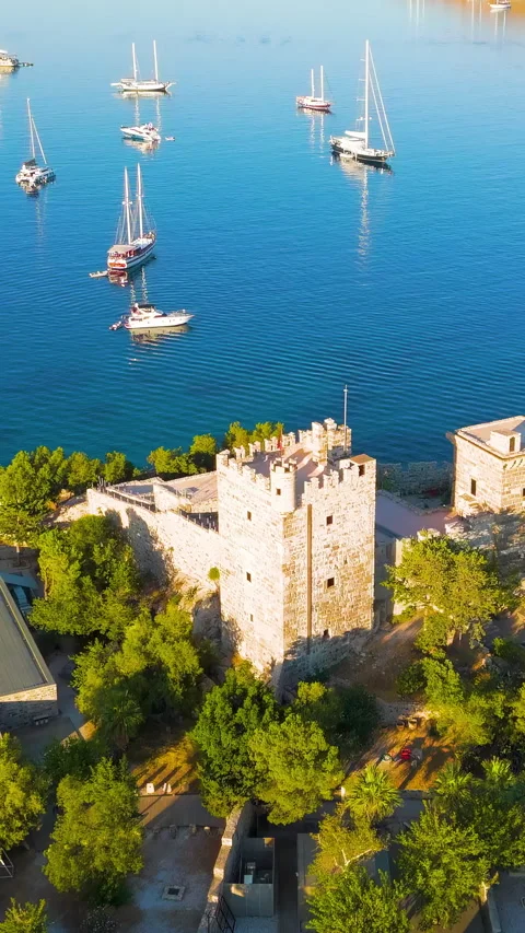 Castle Website Video Stock Videos – Royalty-Free HD & 4K Videos | Pond5