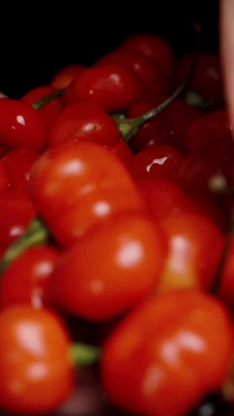 Video In Mini Stock Videos – Royalty-Free HD & 4K Videos | Pond5