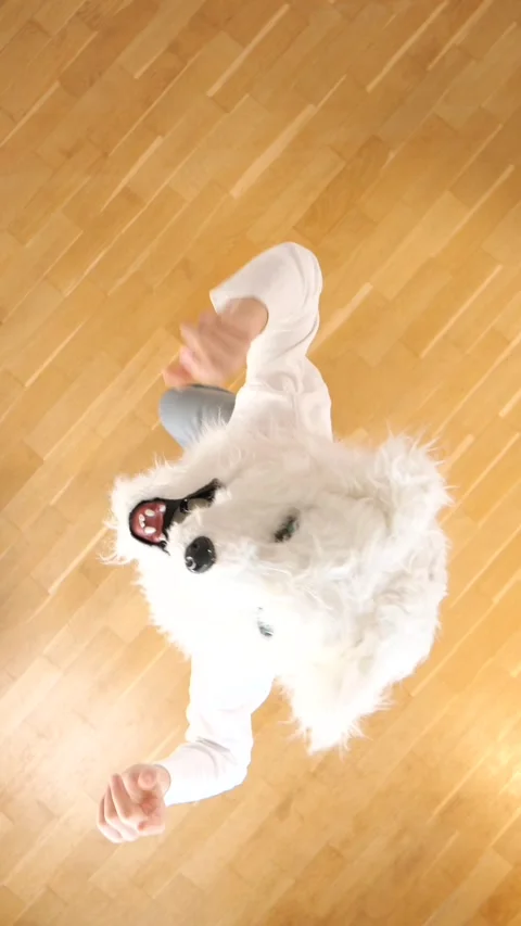 Whiteboy Dance Video Stock Videos – Royalty-Free HD & 4K Videos