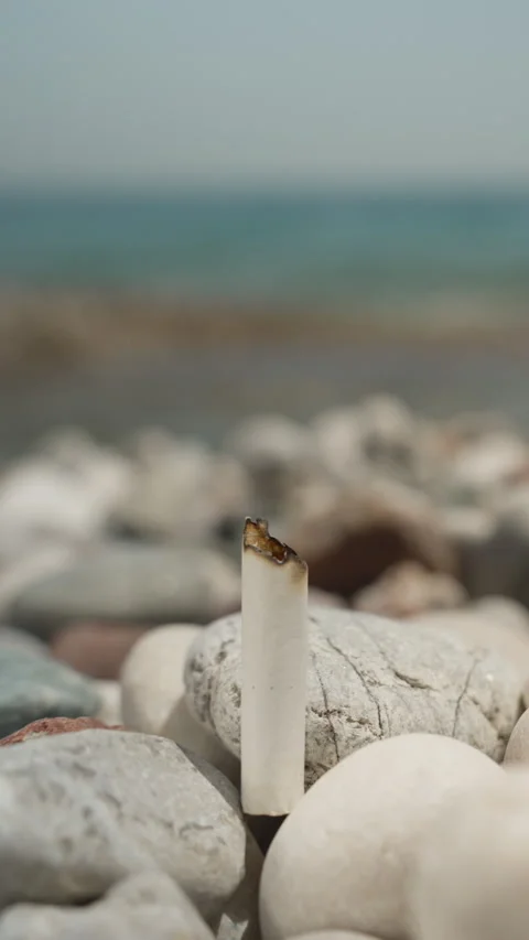 Butt Water Video Stock Videos – Royalty-Free HD & 4K Videos | Pond5