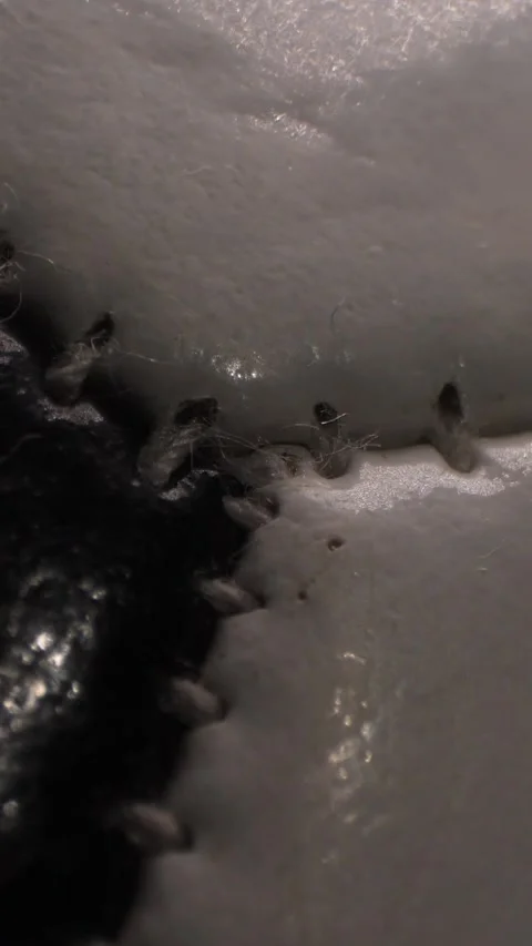 Stitch Exercise Video Stock Videos – Royalty-Free HD & 4K Videos