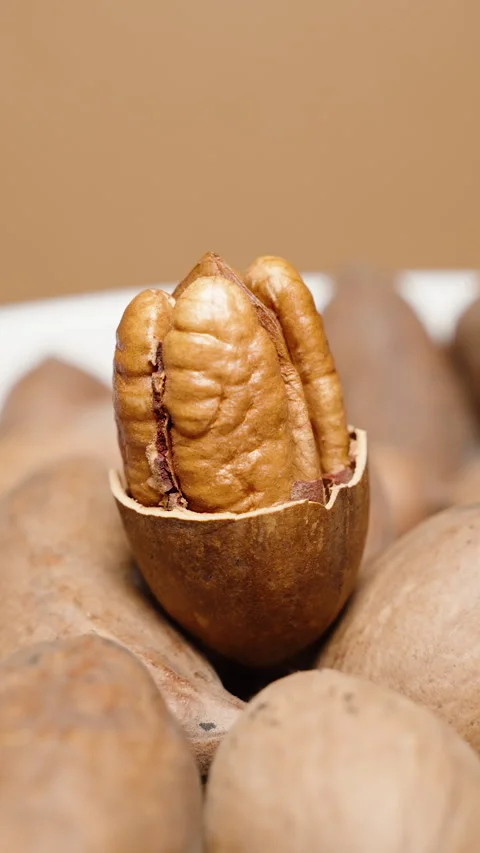 Video Pla\ Stock Videos – Royalty-Free HD & 4K Videos | Pond5