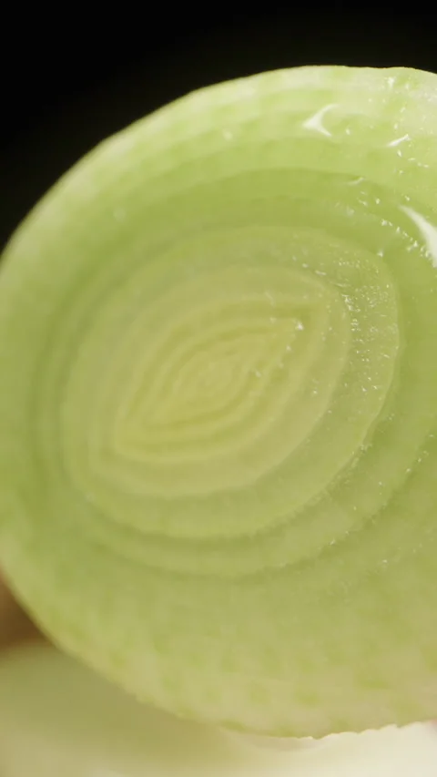 Vertical video. A cross-section of a lee... | Stock Video | Pond5