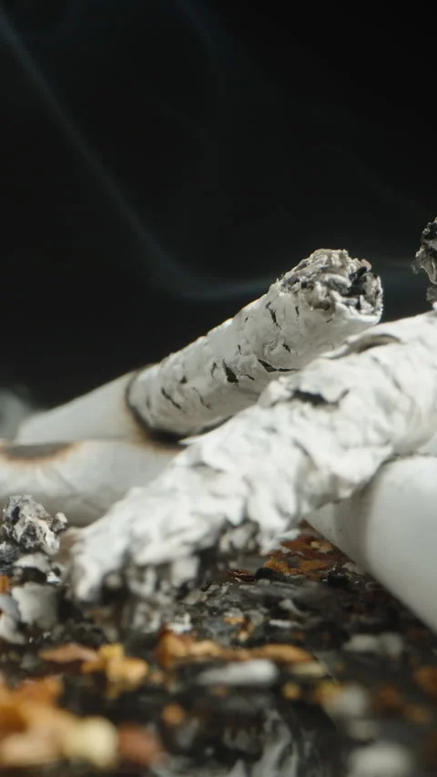 Butt Video Shots Stock Videos – Royalty-Free HD & 4K Videos