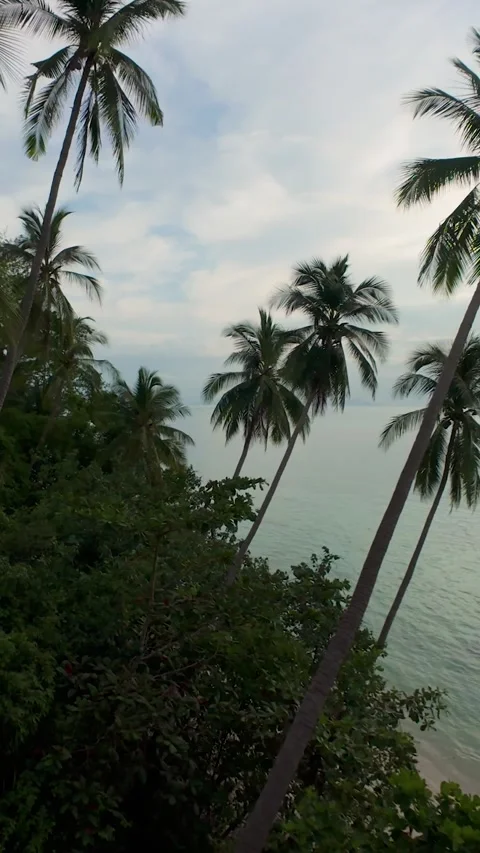 Hotpast Video Stock Videos – Royalty-Free HD & 4K Videos | Pond5