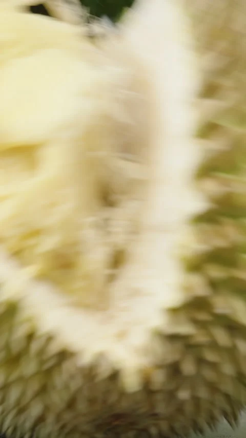 Split Video Stock Videos – Royalty-Free HD & 4K Videos | Page 2