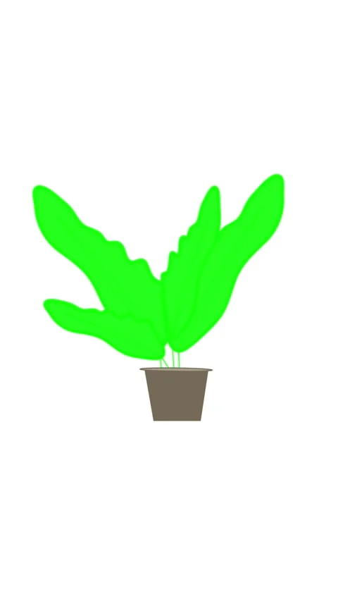 Animated Pot Leaf Stock Videos – Royalty-Free HD & 4K Videos