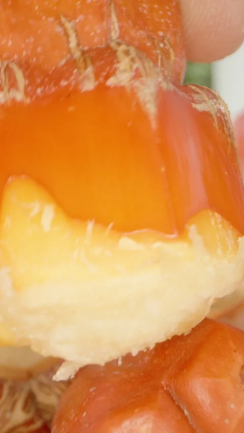 Segment Videos Stock Videos – Royalty-Free HD & 4K Videos | Pond5