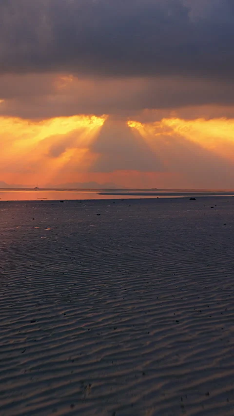 First Shots Video Stock Videos – Royalty-Free HD & 4K Videos | Pond5