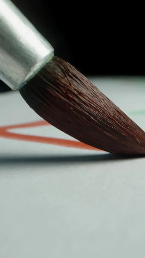 First Shots Video Stock Videos – Royalty-Free HD & 4K Videos | Pond5