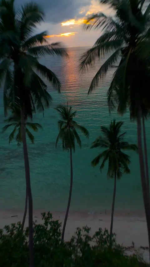 Crashing High Stock Videos – Royalty-Free HD & 4K Videos