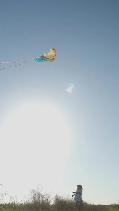 Kite Dance Videos Stock Videos – Royalty-Free HD & 4K Videos