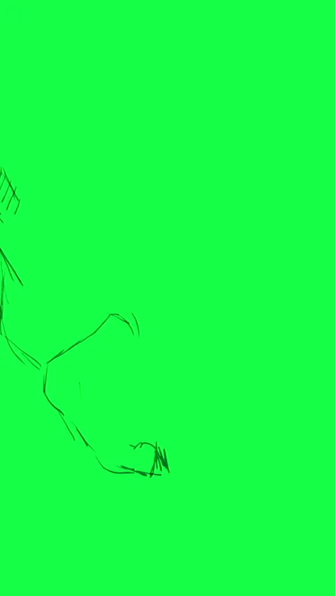 Green Screen Hand Drawing Stock Footage ~ Royalty Free Stock Videos | Pond5