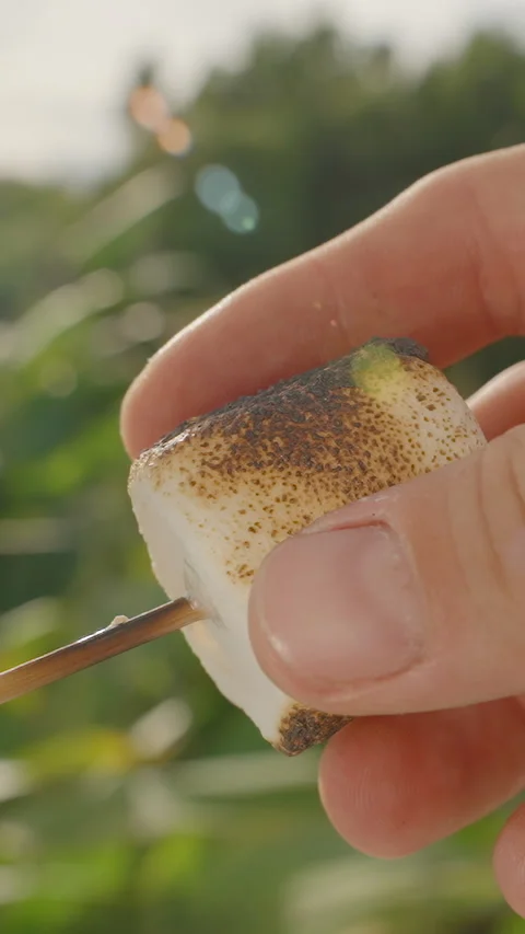 Video Lightly Stock Videos – Royalty-Free HD & 4K Videos | Pond5