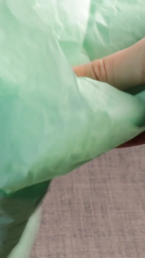 Sus Videps Stock Videos – Royalty-Free HD & 4K Videos