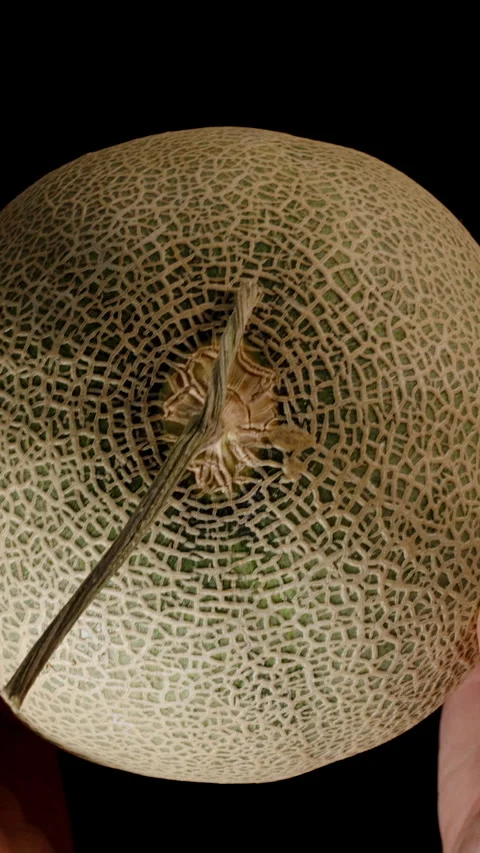 Top Videos Net Stock Videos – Royalty-Free HD & 4K Videos | Pond5