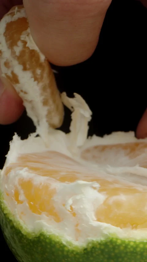 Segment Videos Stock Videos – Royalty-Free HD & 4K Videos | Pond5