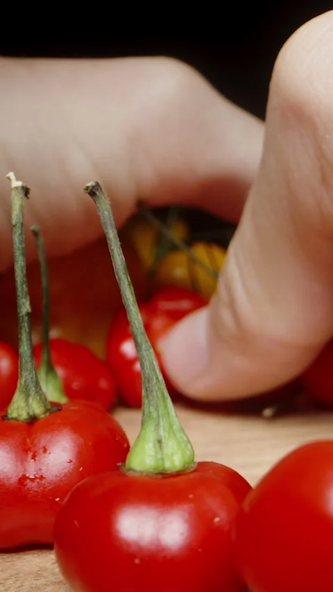 Carry Light Video Stock Videos – Royalty-Free HD & 4K Videos