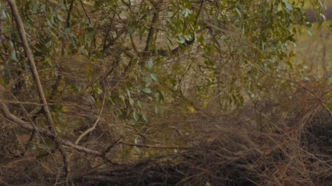 Horror Jason Stock Videos – Royalty-Free HD & 4K Videos | Pond5