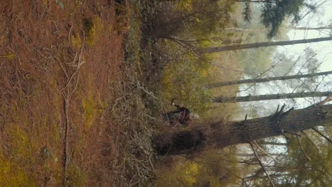 Jason Video Stock Videos – Royalty-Free HD & 4K Videos | Pond5