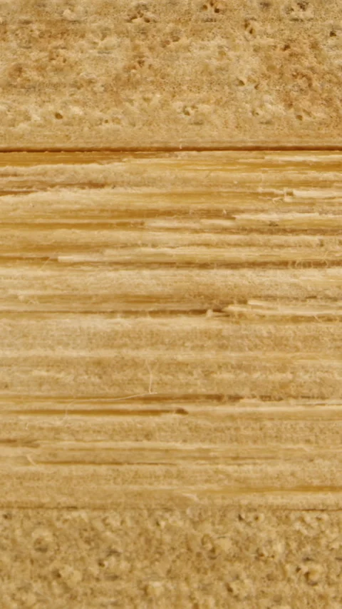 Knocked Up Videos Stock Videos – Royalty-Free HD & 4K Videos