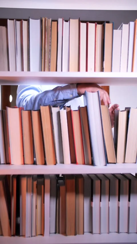 Book Shop Video Stock Videos – Royalty-Free HD & 4K Videos | Pond5