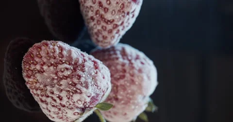 Food Frozen Video Stock Videos – Royalty-Free HD & 4K Videos
