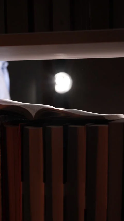 Reading Light Video Stock Videos – Royalty-Free HD & 4K Videos