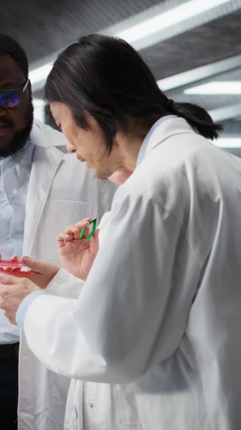 Looking Dor Video Stock Videos – Royalty-Free HD & 4K Videos | Pond5