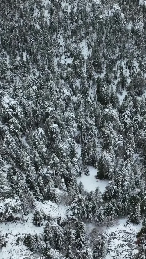 Vertical Video: Overhead Capture of Snow... | Stock Video | Pond5