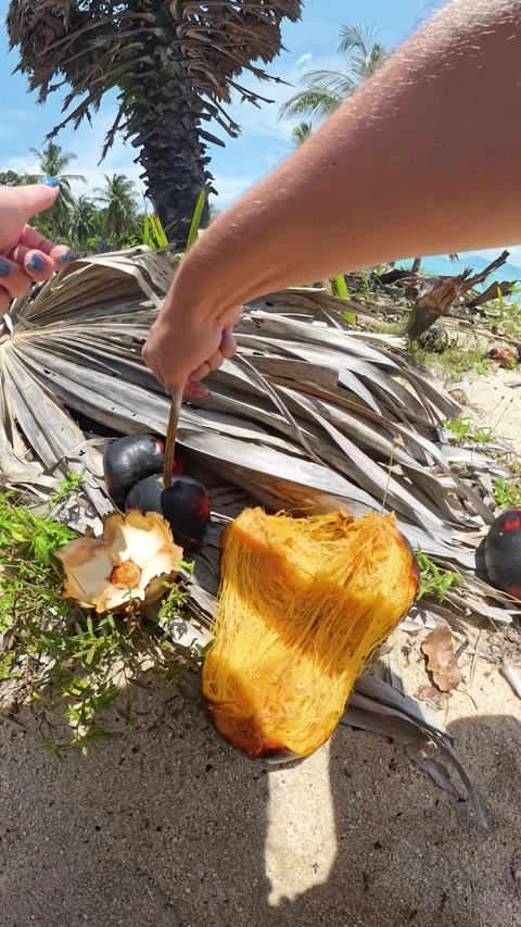 Sitting Person Black Stock Videos – Royalty-Free HD & 4K Videos | Pond5