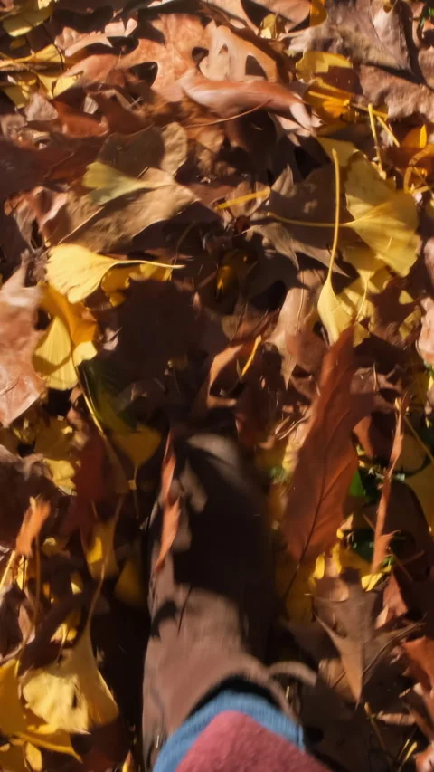 Video Kick Stock Videos – Royalty-Free HD & 4K Videos