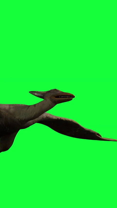 vertical video - Pterodactyl fly .3d ani... | Stock Video | Pond5
